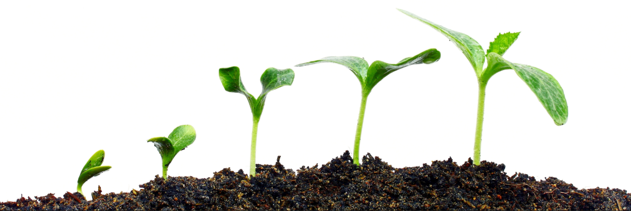 Pricing – L.A.O. Accounting Services